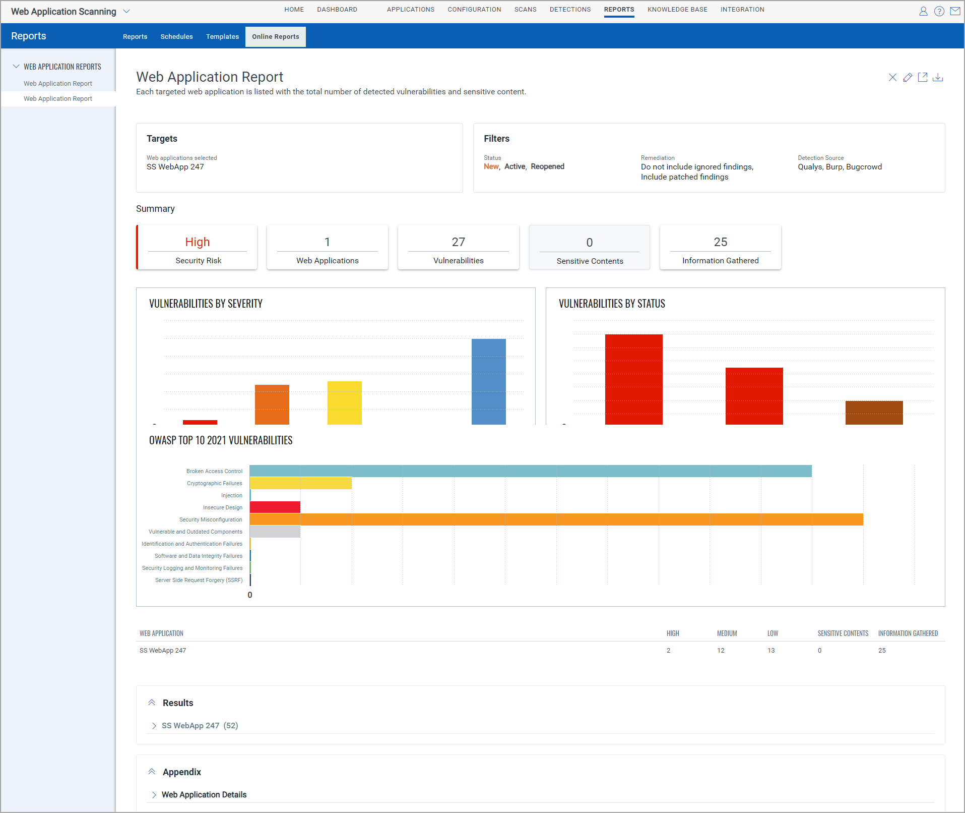 View Web Application Report