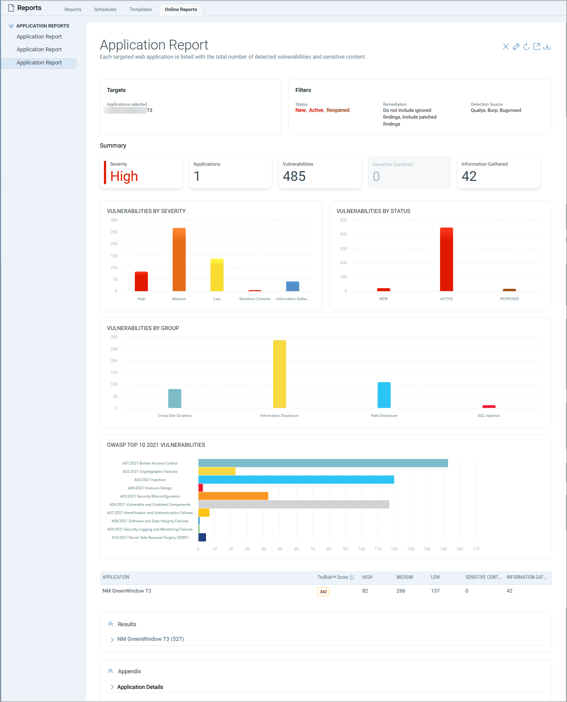 View Web Application Report